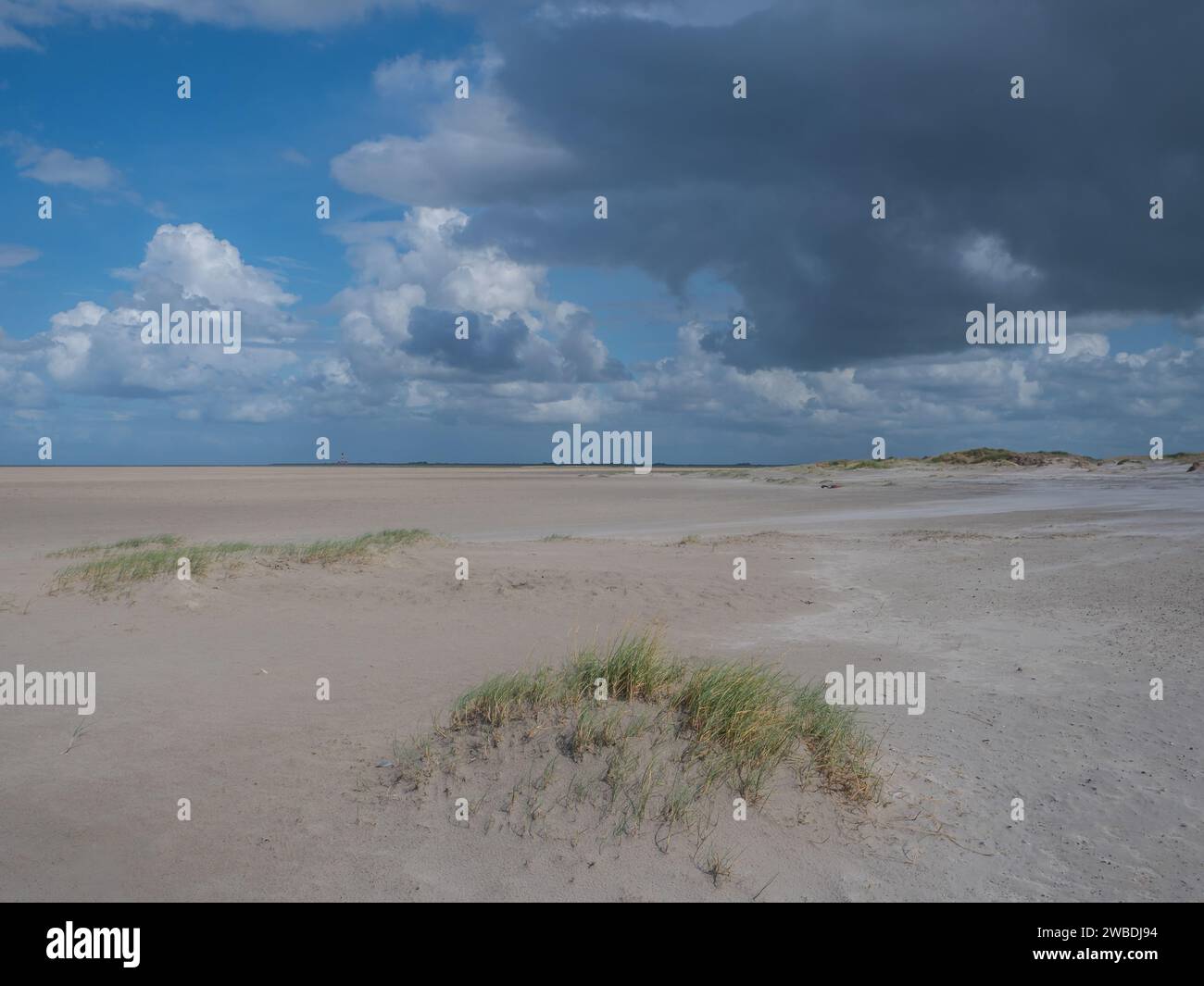 Sandstorm on the North Sea on the beach Stock Photo - Alamy