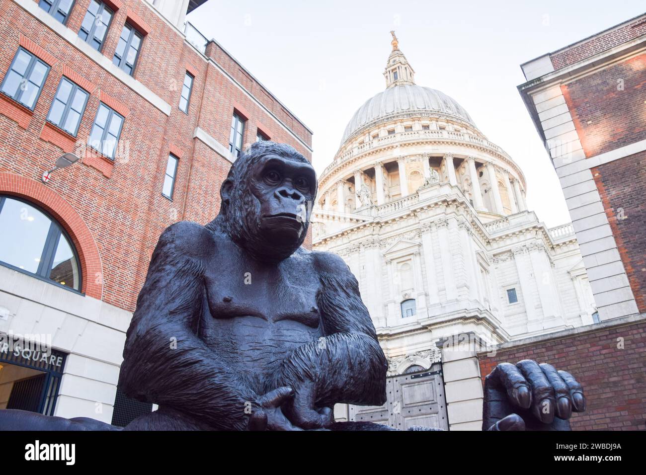 London, UK. 10th January 2024. Wild About Babies by Gillie and Marc in ...