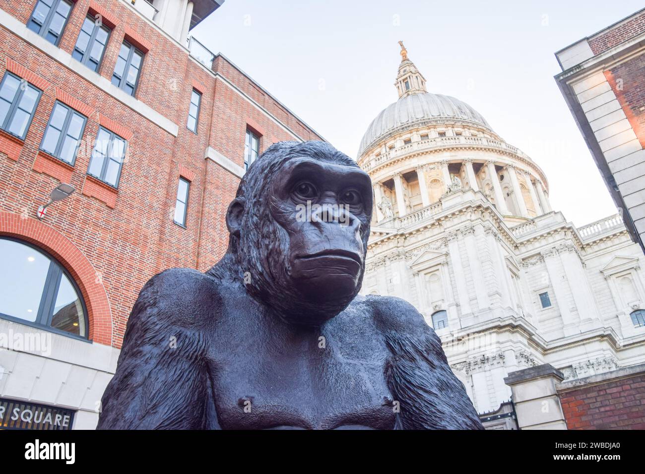 London, UK. 10th January 2024. Wild About Babies by Gillie and Marc in ...