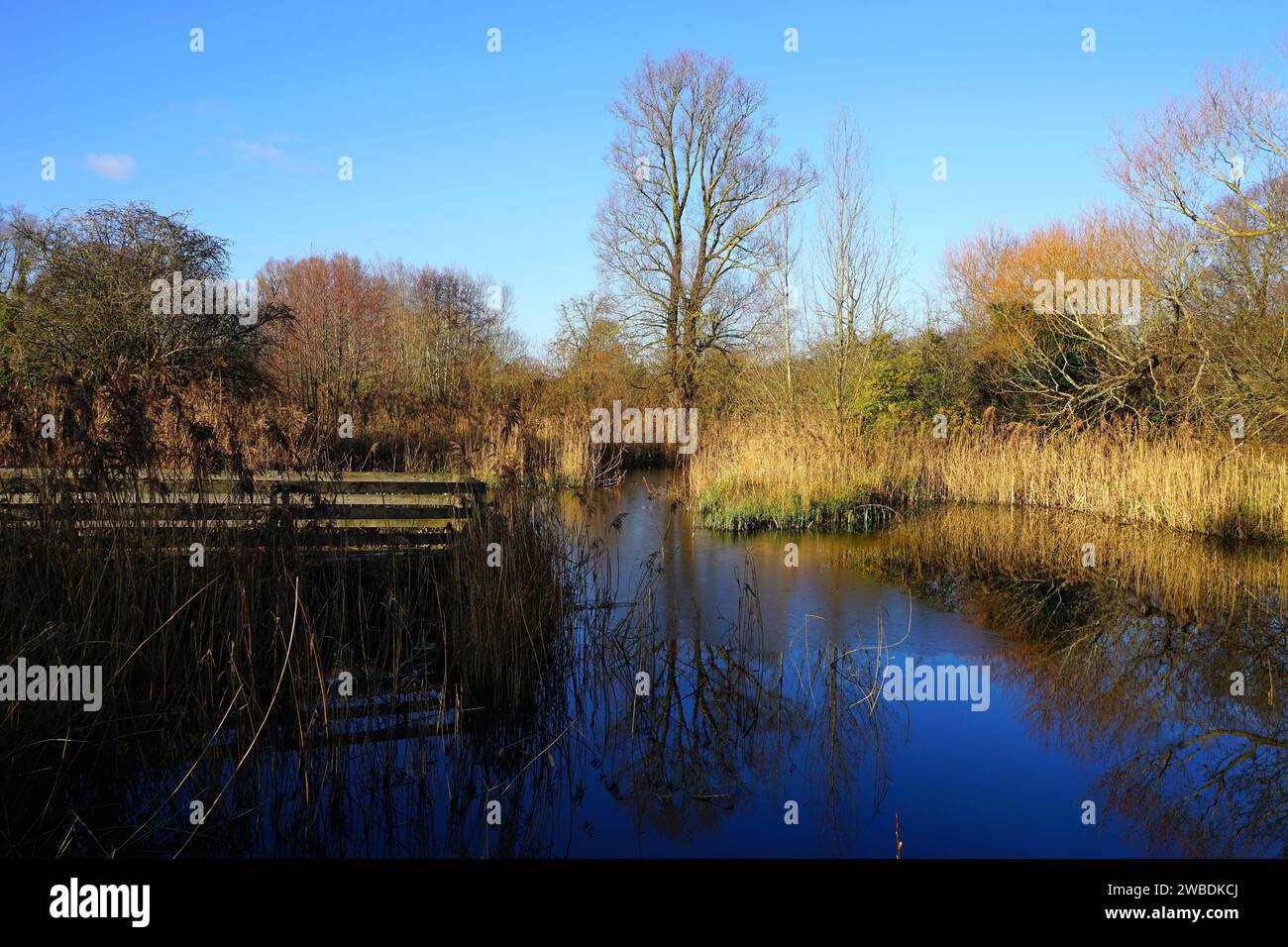 Purwell nine springs hi-res stock photography and images - Alamy