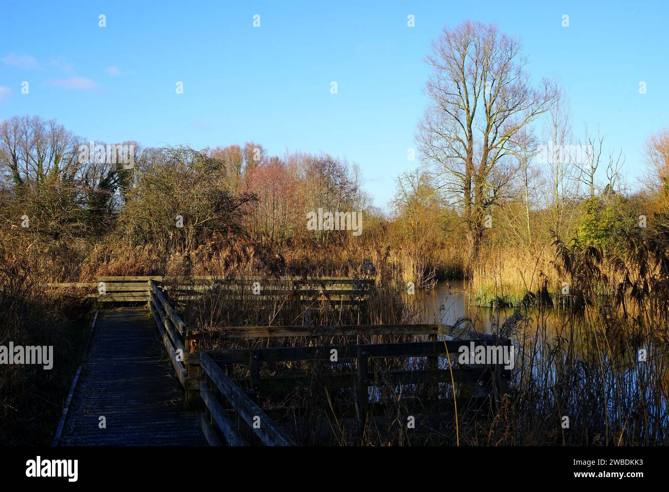 Purwell nine springs hi-res stock photography and images - Alamy
