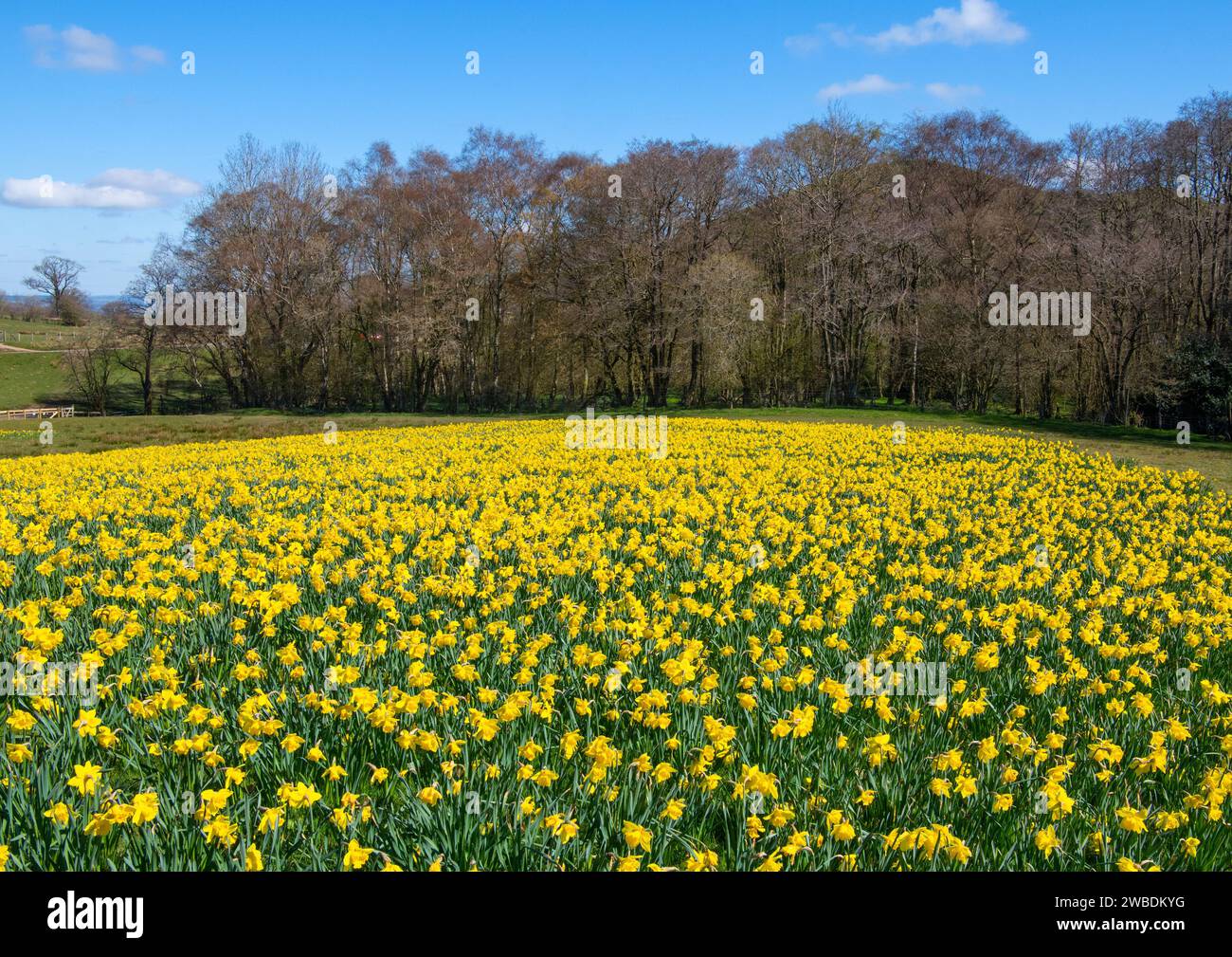 Gatten valley hi-res stock photography and images - Alamy