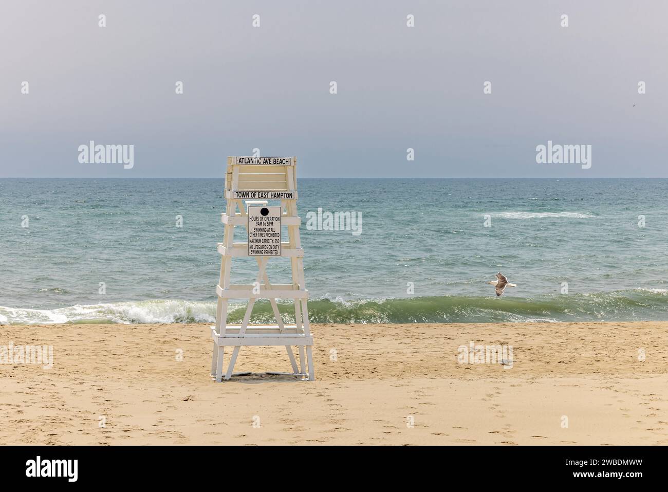 empty life guard stand with a seagull flying by Stock Photo - Alamy