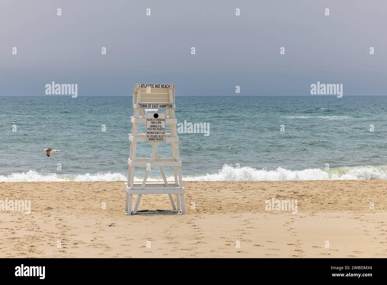 empty life guard stand with a seagull flying by Stock Photo - Alamy