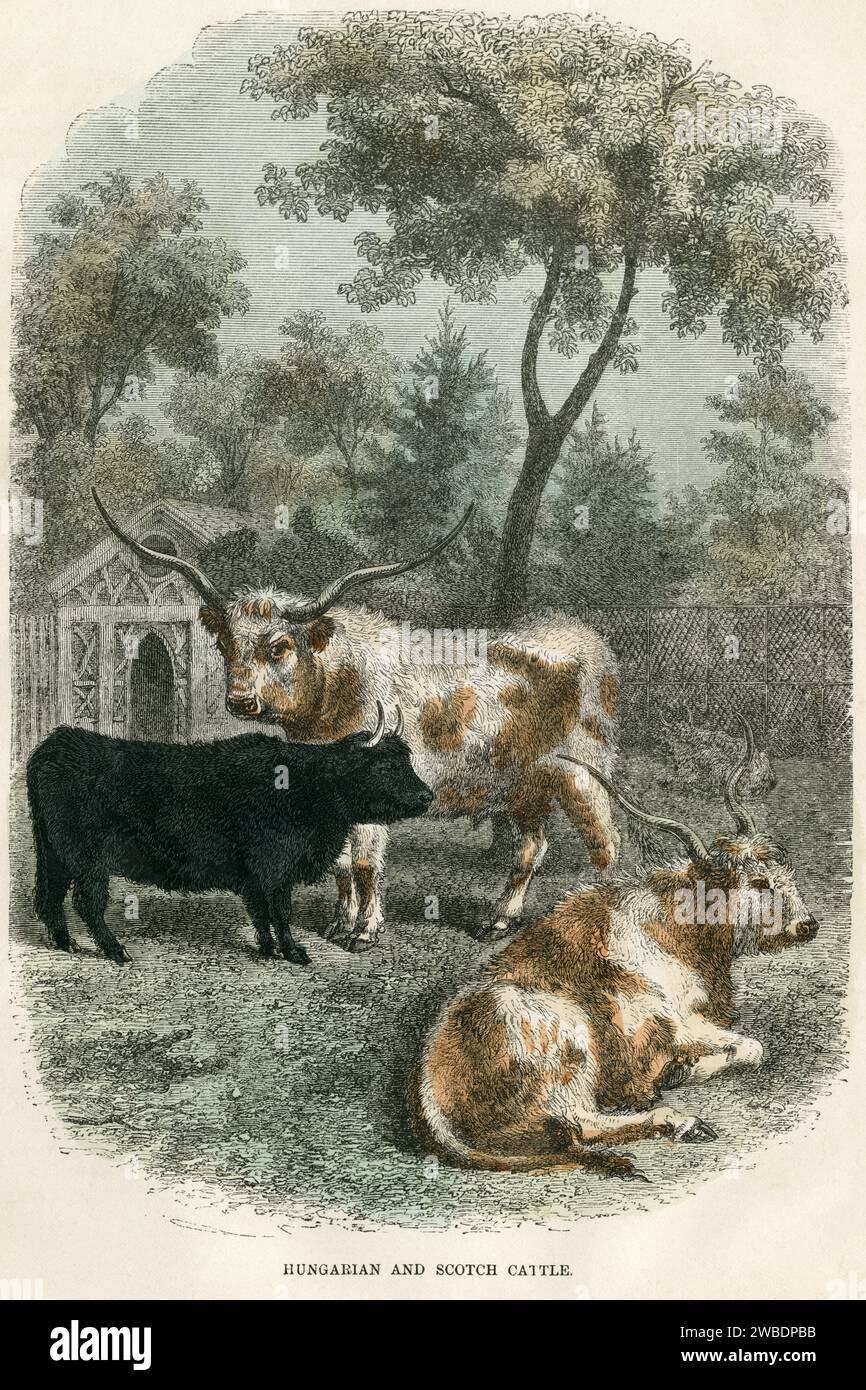 1800s family farm hi-res stock photography and images - Alamy