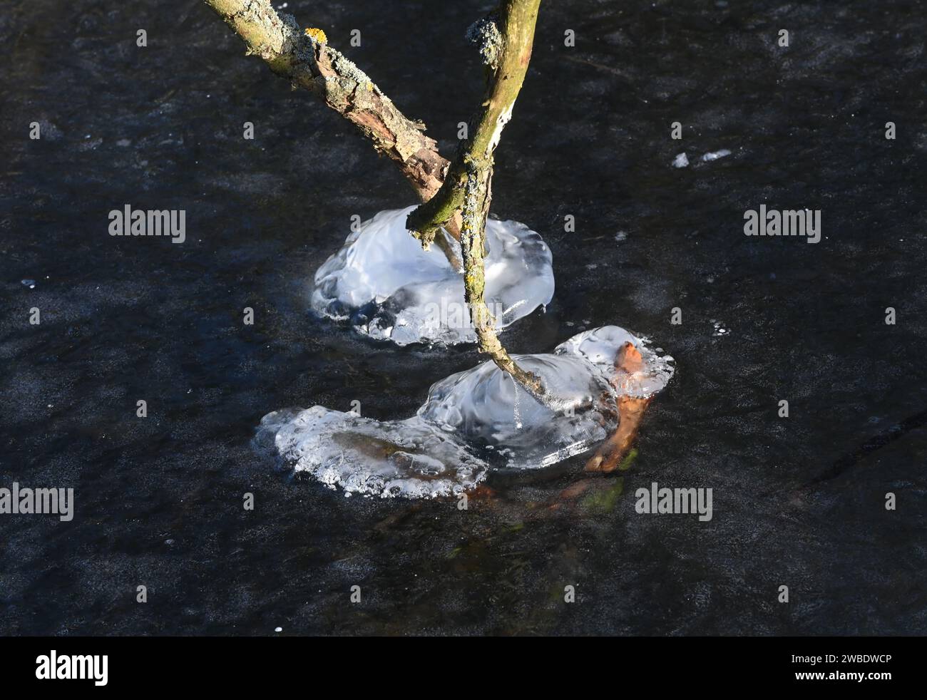 Olomouc, Czech Republic. 10th Jan, 2024. The frozen lake Podebrady near ...