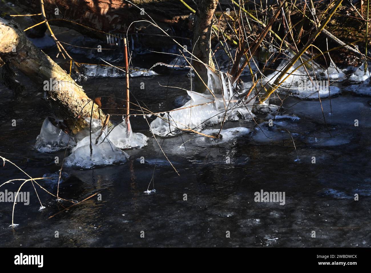 Olomouc, Czech Republic. 10th Jan, 2024. The frozen lake Podebrady near ...