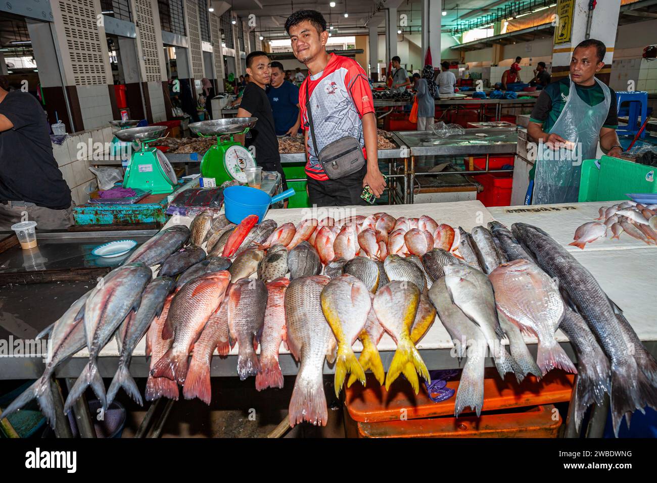 Malaysia, Sabah, Sandakan, Central market, Fish counter with coloured ...