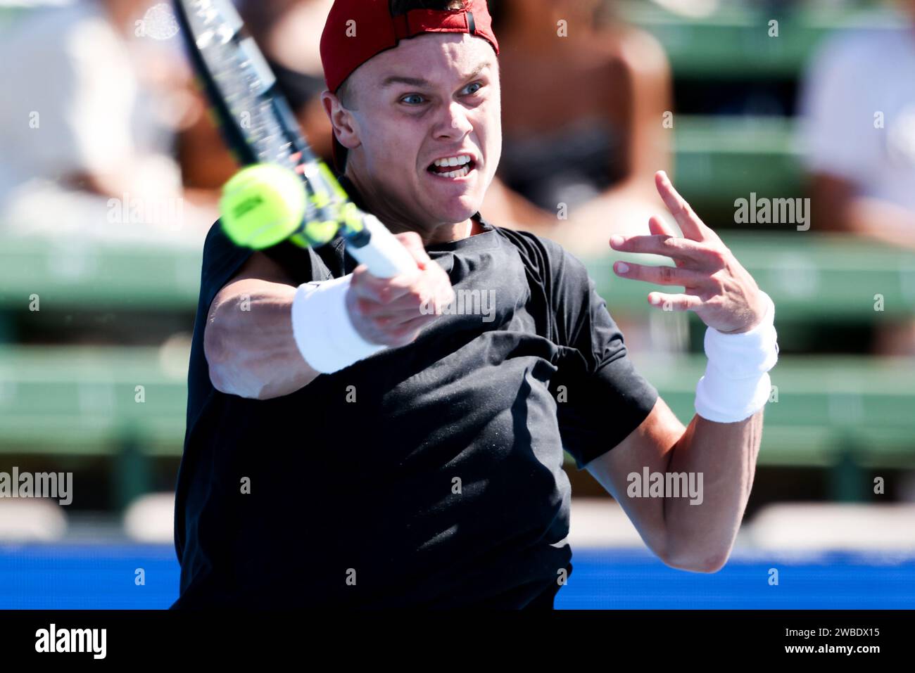 2024 Kooyong Classic - Day 1 Stock Photo - Alamy