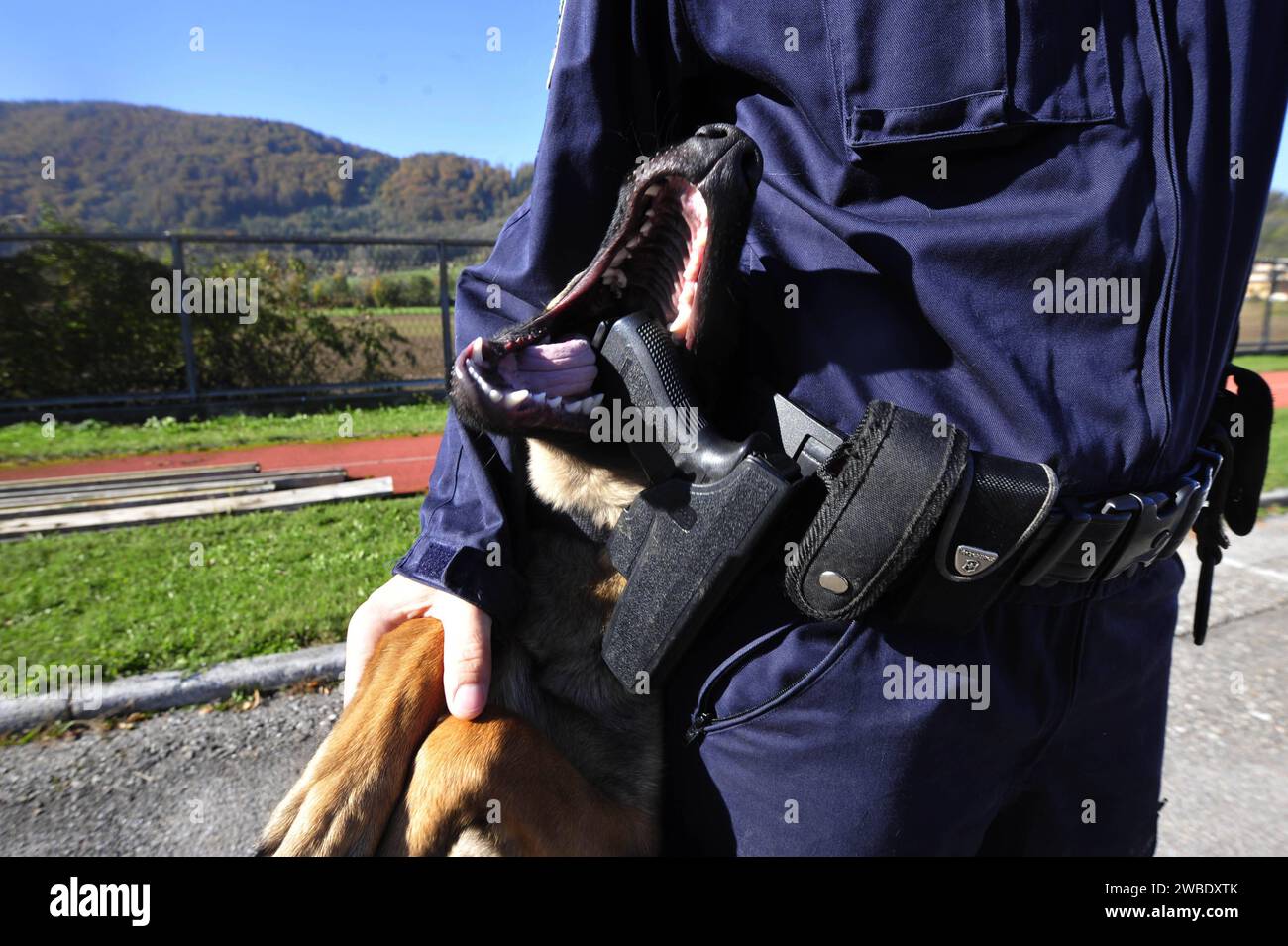 glock pistol a modern firearm made in austria glock pistol a modern ...