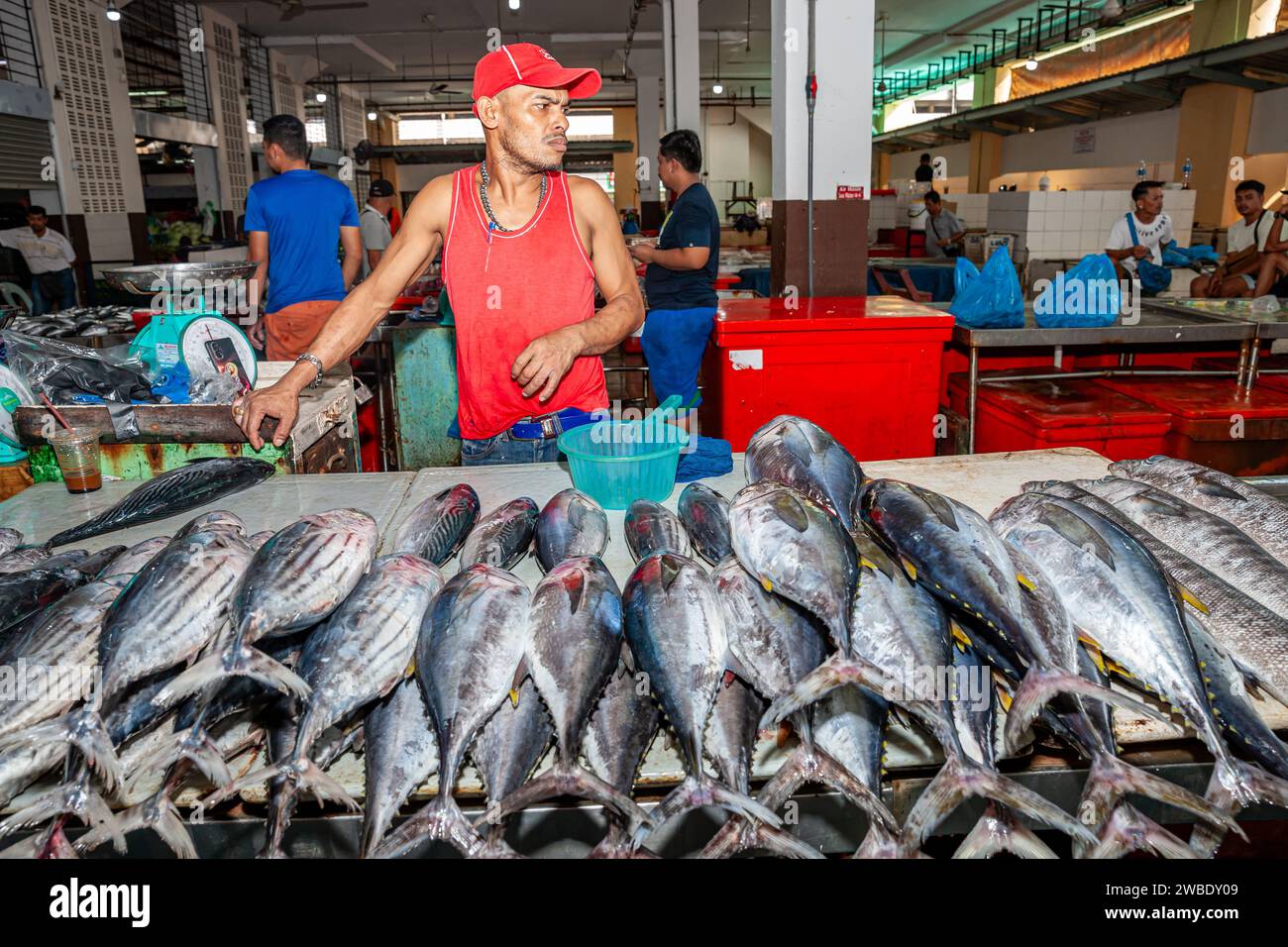 Malaysia, Sabah, Sandakan, Fish market, Fish counter Stock Photo - Alamy