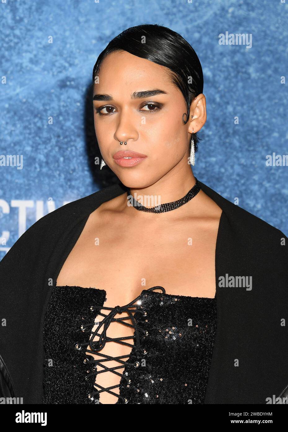 LOS ANGELES, CALIFORNIA - JANUARY 09: Amanda Castrillo attends the Los ...