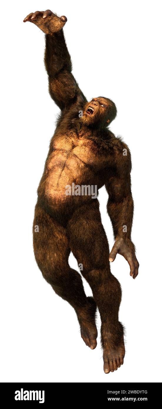 3D rendering of a Sasquatch or Bigfoot isolated on white background ...