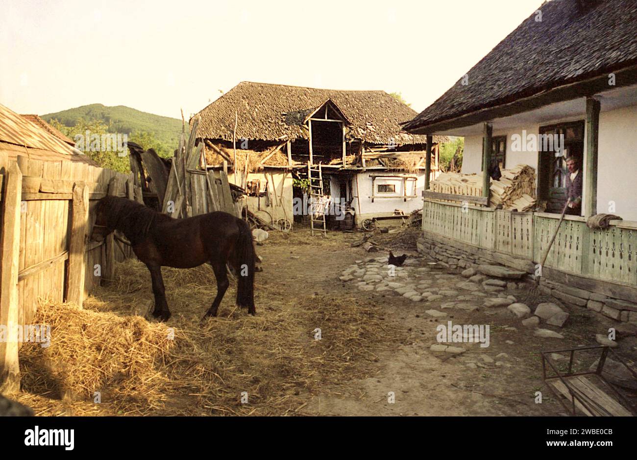 Vrancea County, Romania, 1990. A traditional rural homestead, with a ...