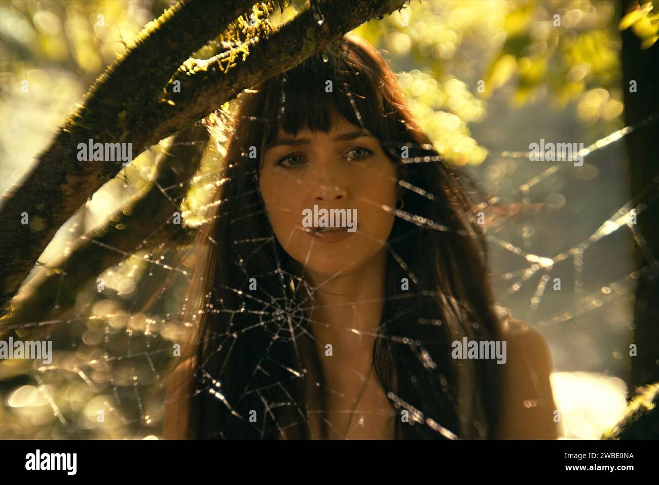 Madame Web (2024) directed by S.J. Clarkson and starring Dakota Johnson ...