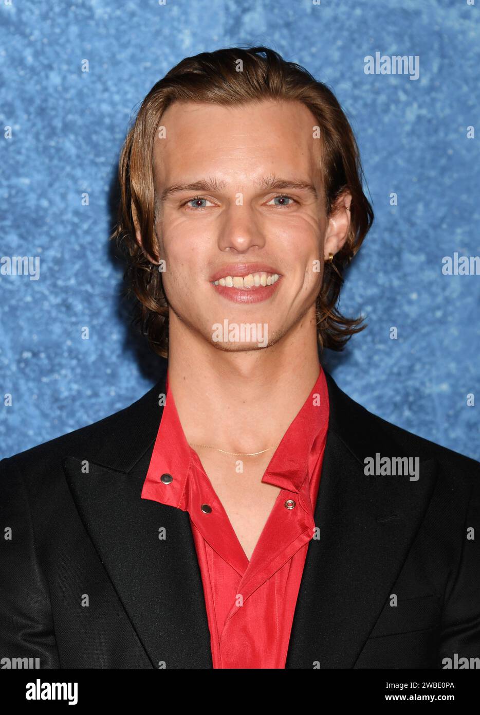 LOS ANGELES, CALIFORNIA - JANUARY 09: Finn Bennett attends the Los Angeles premiere of Warner ...