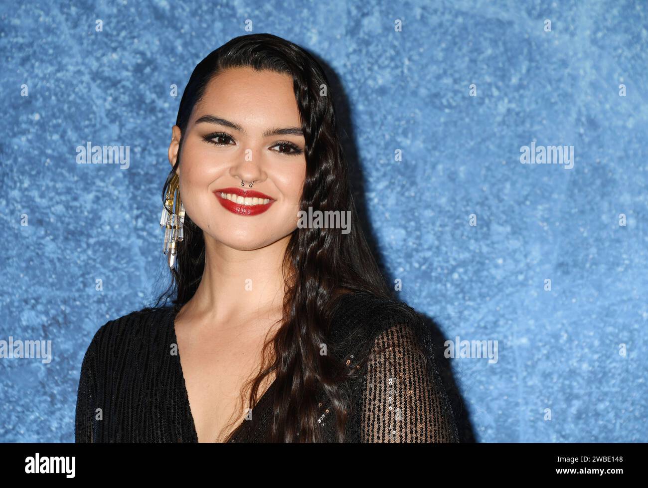 LOS ANGELES, CALIFORNIA - JANUARY 09: Anna Lambe attends the Los ...