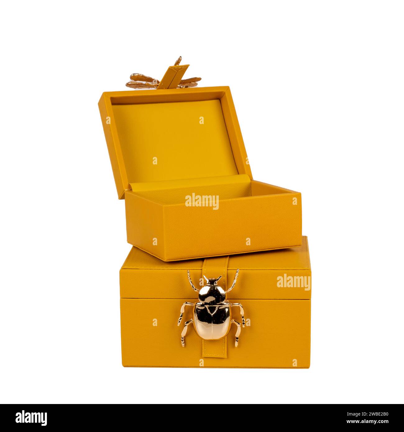 luxury design leather box isolated on white Stock Photo - Alamy