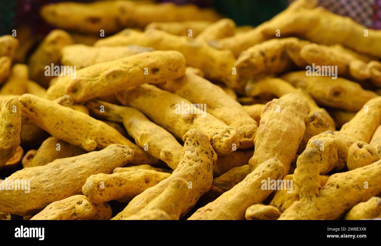 Indian roots hi-res stock photography and images - Alamy