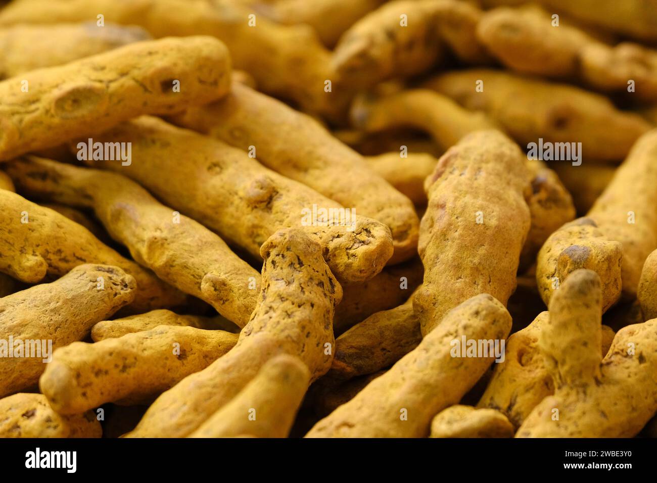 Indian roots hi-res stock photography and images - Alamy