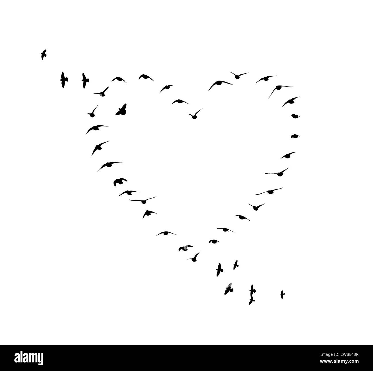 Heart made of birds. hand drawing. Not AI, Vector illustration Stock ...