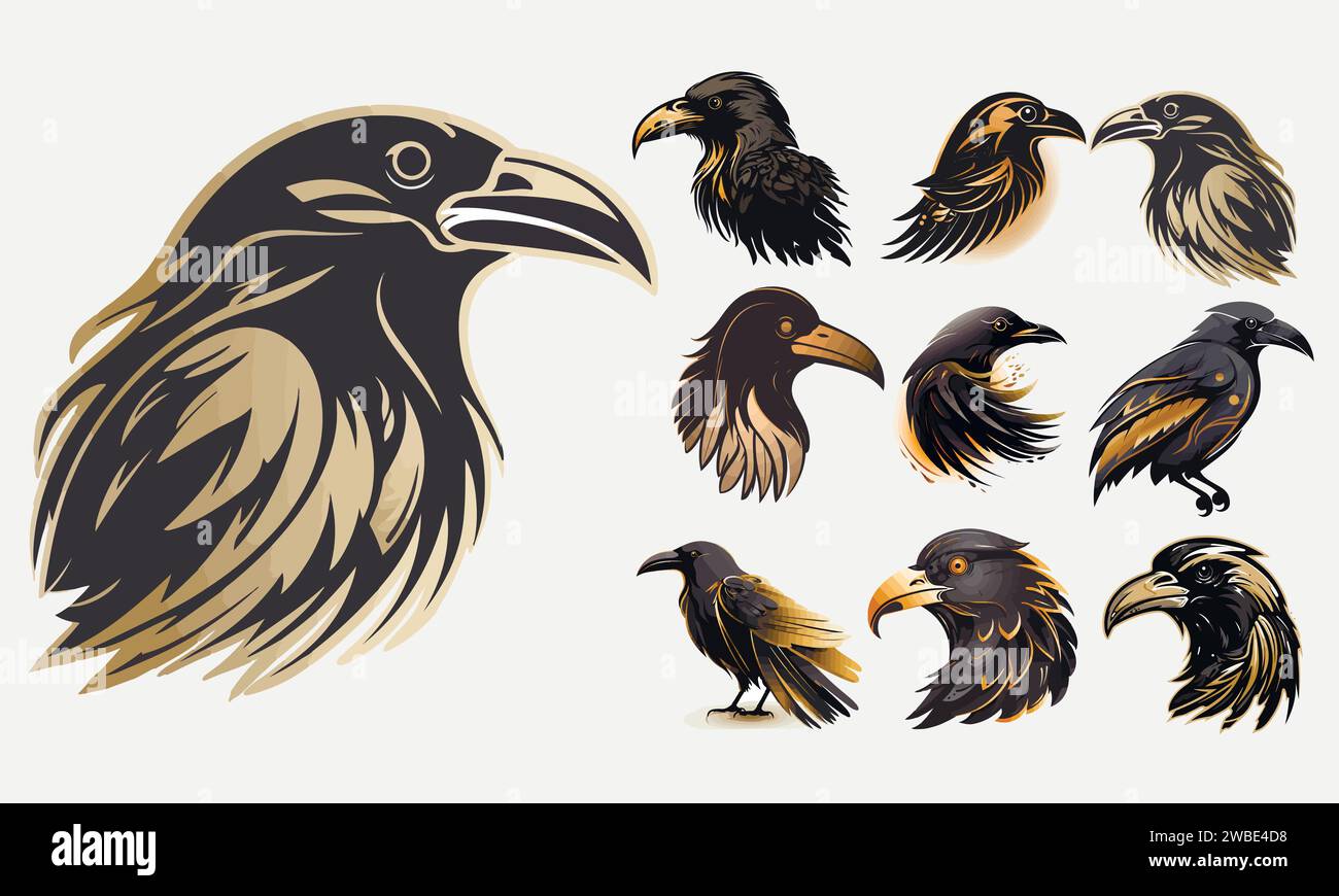 Black crow eagle head hi-res stock photography and images - Alamy