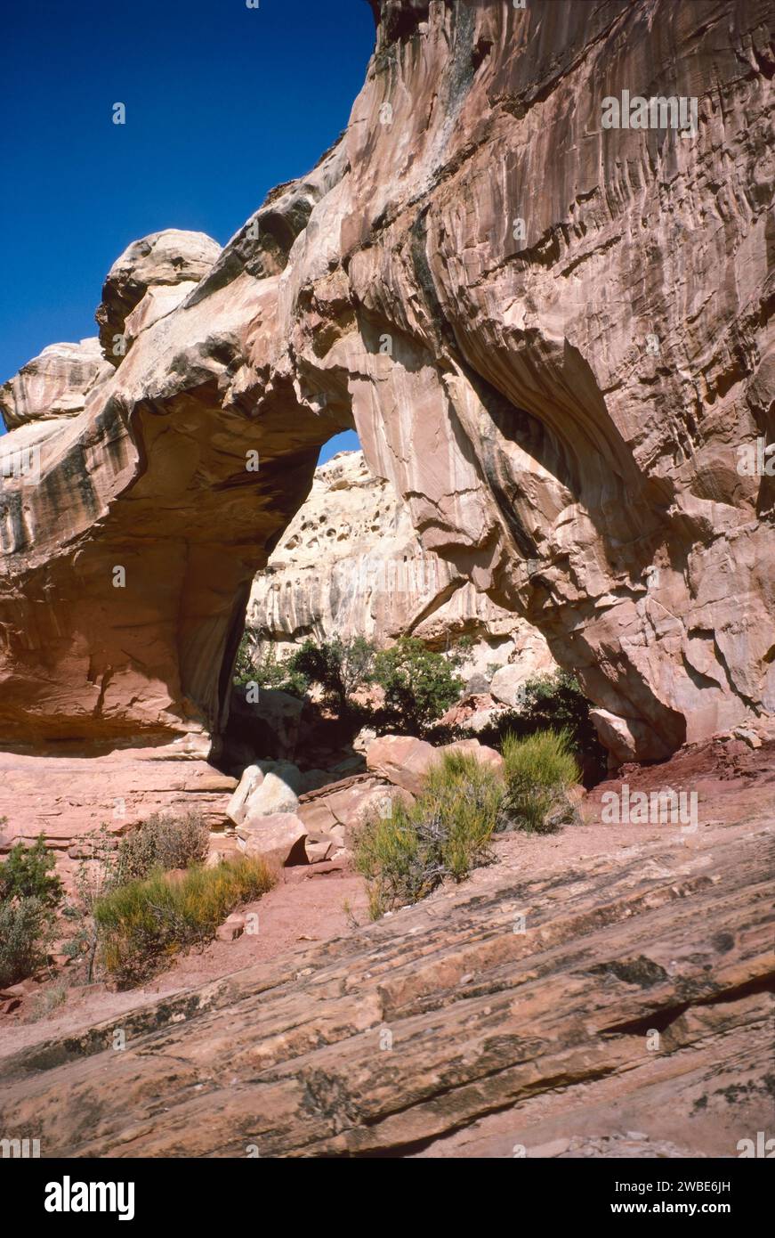 Natural landscape of limestone and sandstone rock formations inside a ...