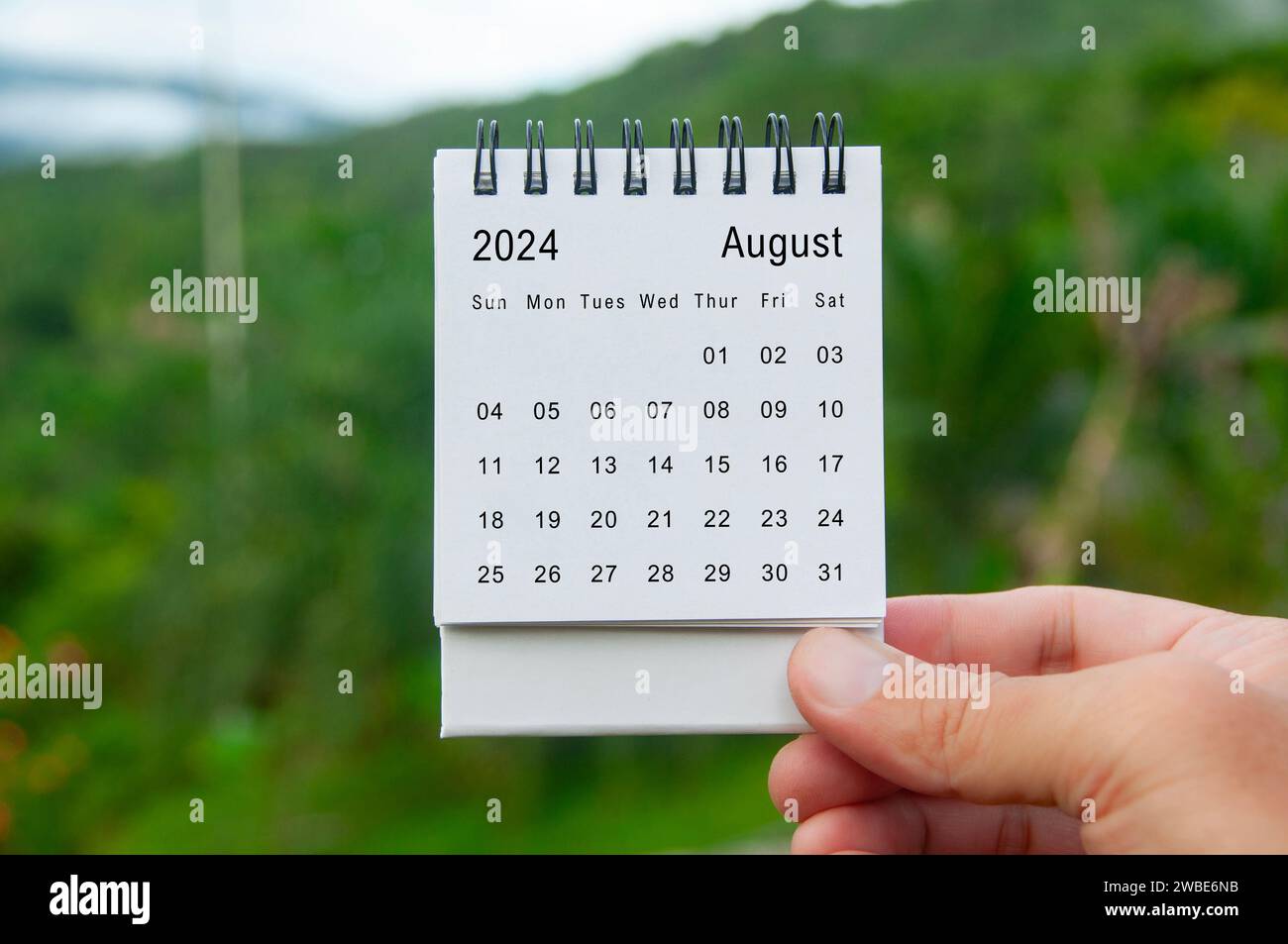 Hand holding August 2024 white calendar with nature background. Holiday ...