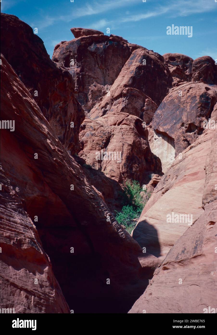 Natural landscape of limestone and sandstone rock formations inside a ...