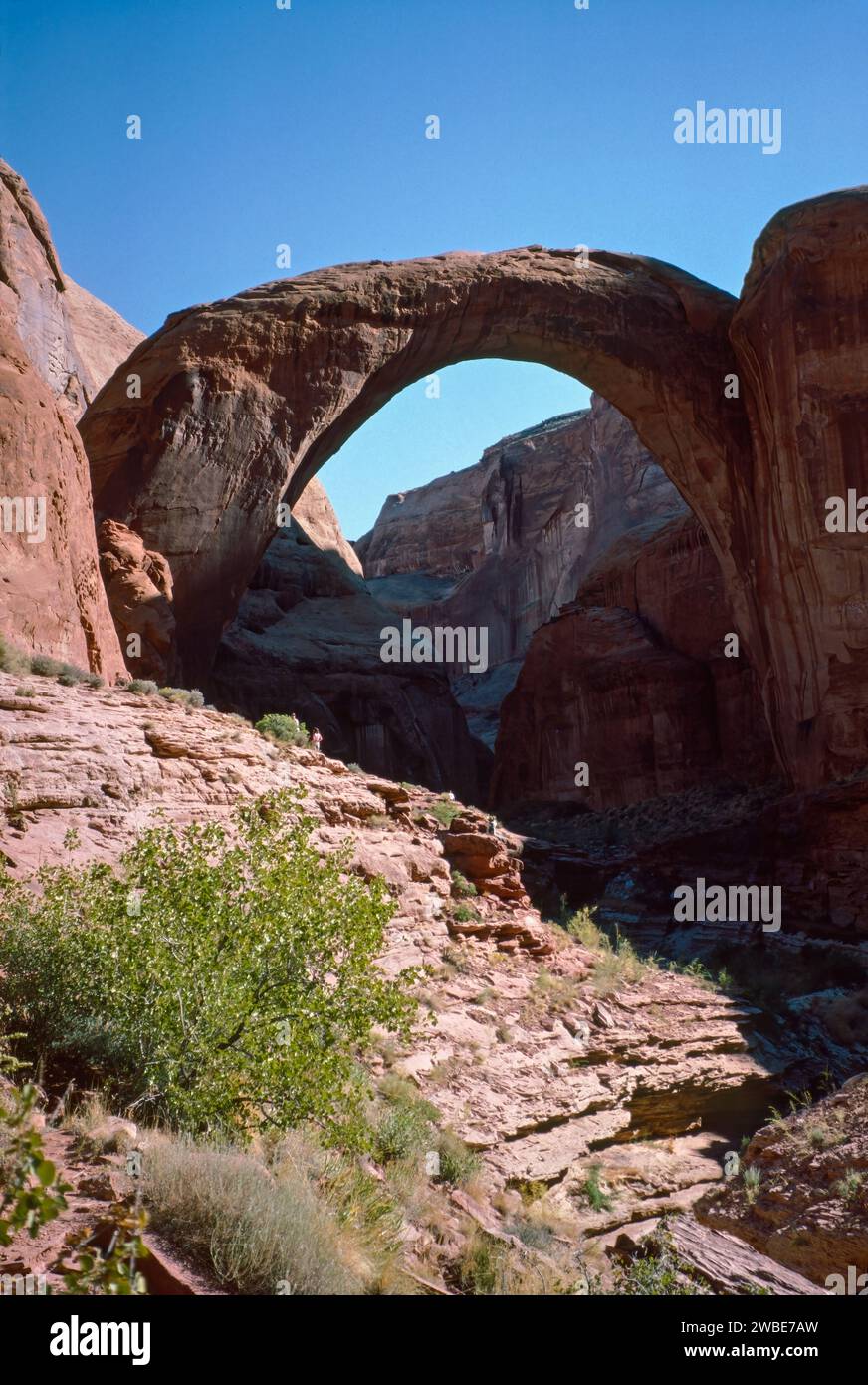 Natural landscape of limestone and sandstone rock formations inside a ...