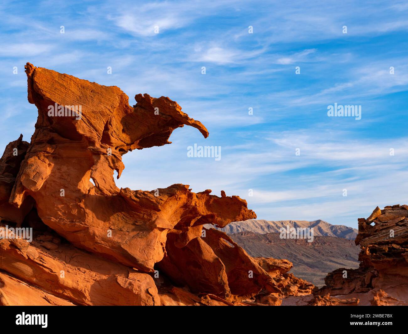 The Gargoyle of Devil's Fire, Gold Butte National Monument; Nevada ...