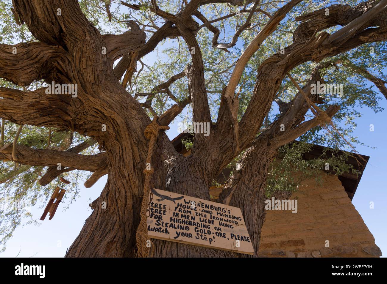 Hanging Tree, Vulture Mine, Vulture City, Arizona Stock Photo - Alamy