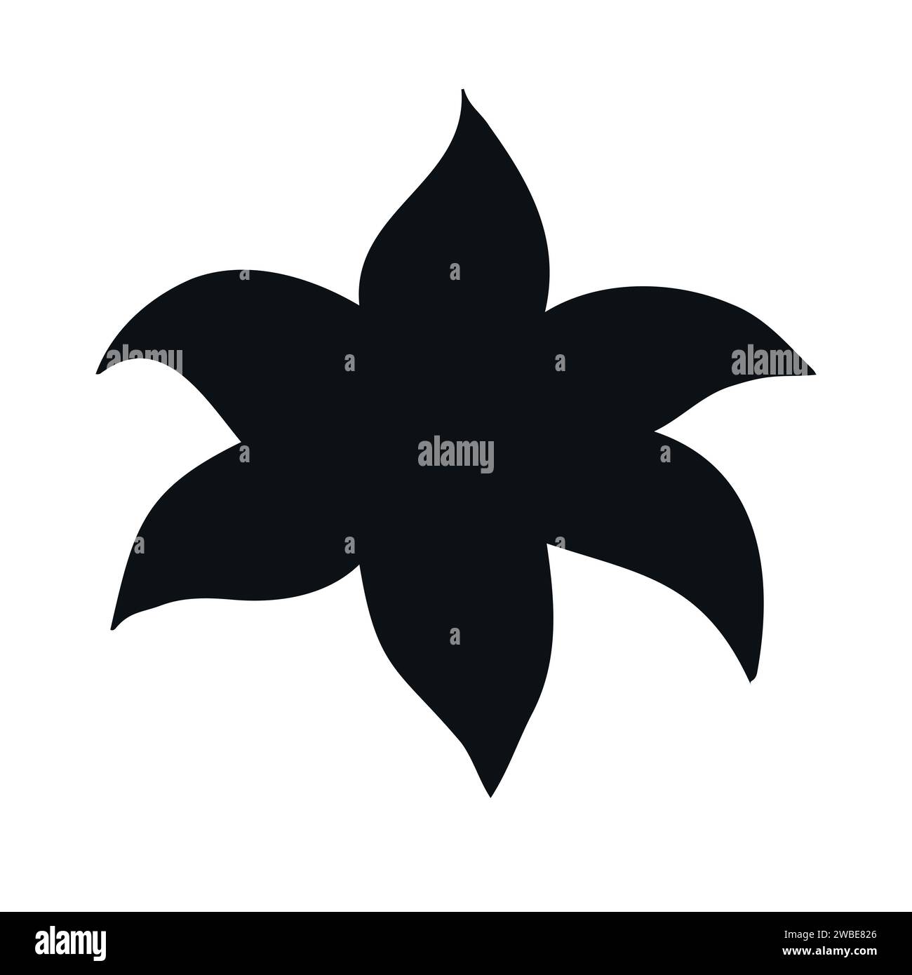 Wedding lilly Black and White Stock Photos & Images - Alamy