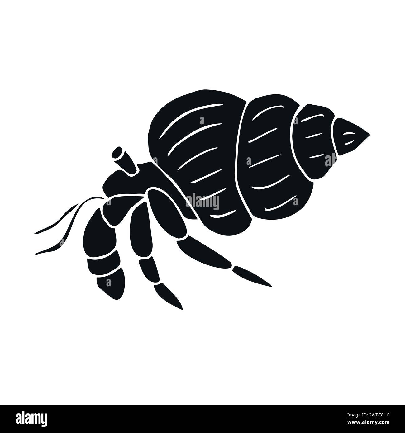 Vector hand drawn doodle sketch hermit crab Stock Vector Image & Art ...