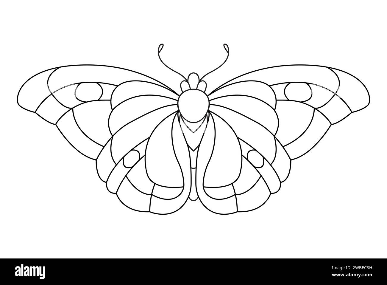 Butterfly black white logo isolated. Butterfly illustration. Beautiful ...