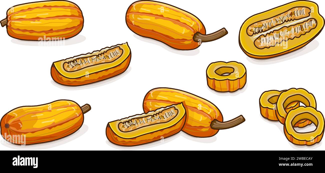 Set of Delicata squash or Bohemian squash. Winter squash. Cucurbita ...