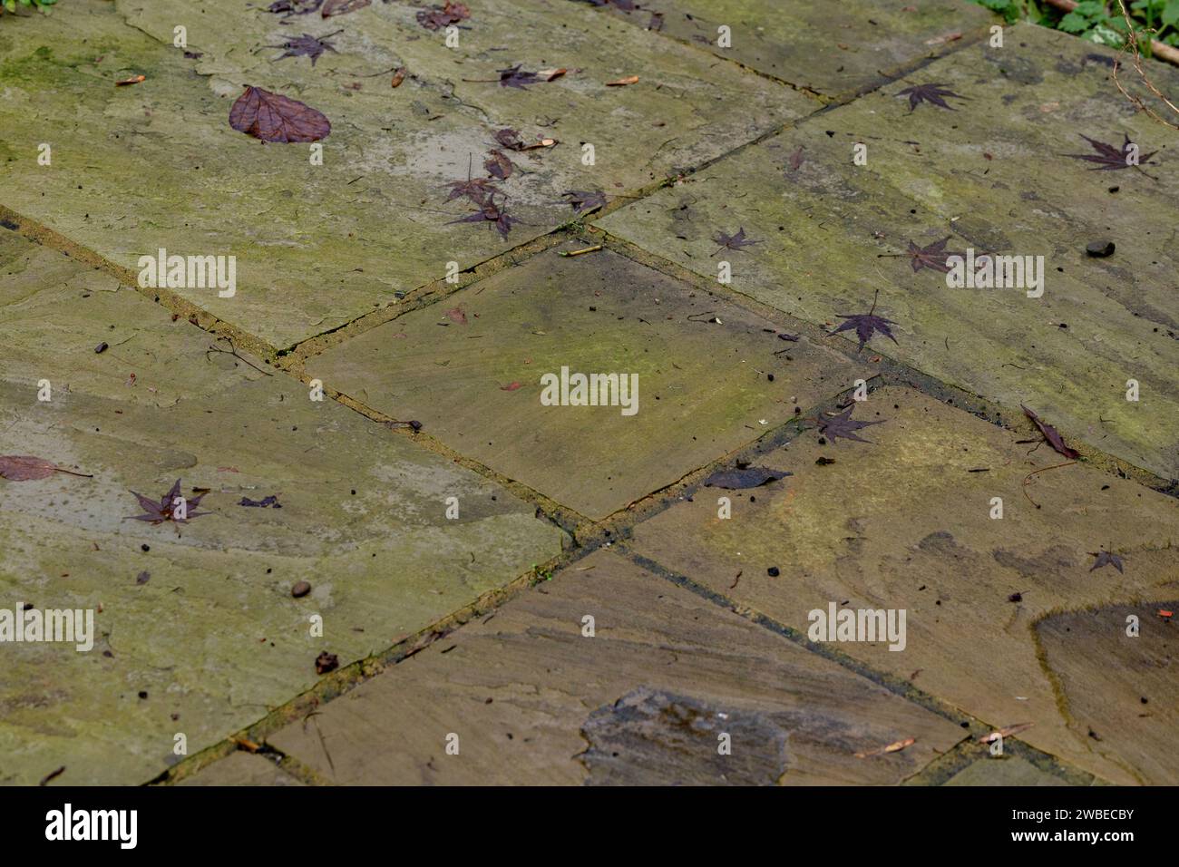 Indian stone slabs covered in algae hi-res stock photography and images ...