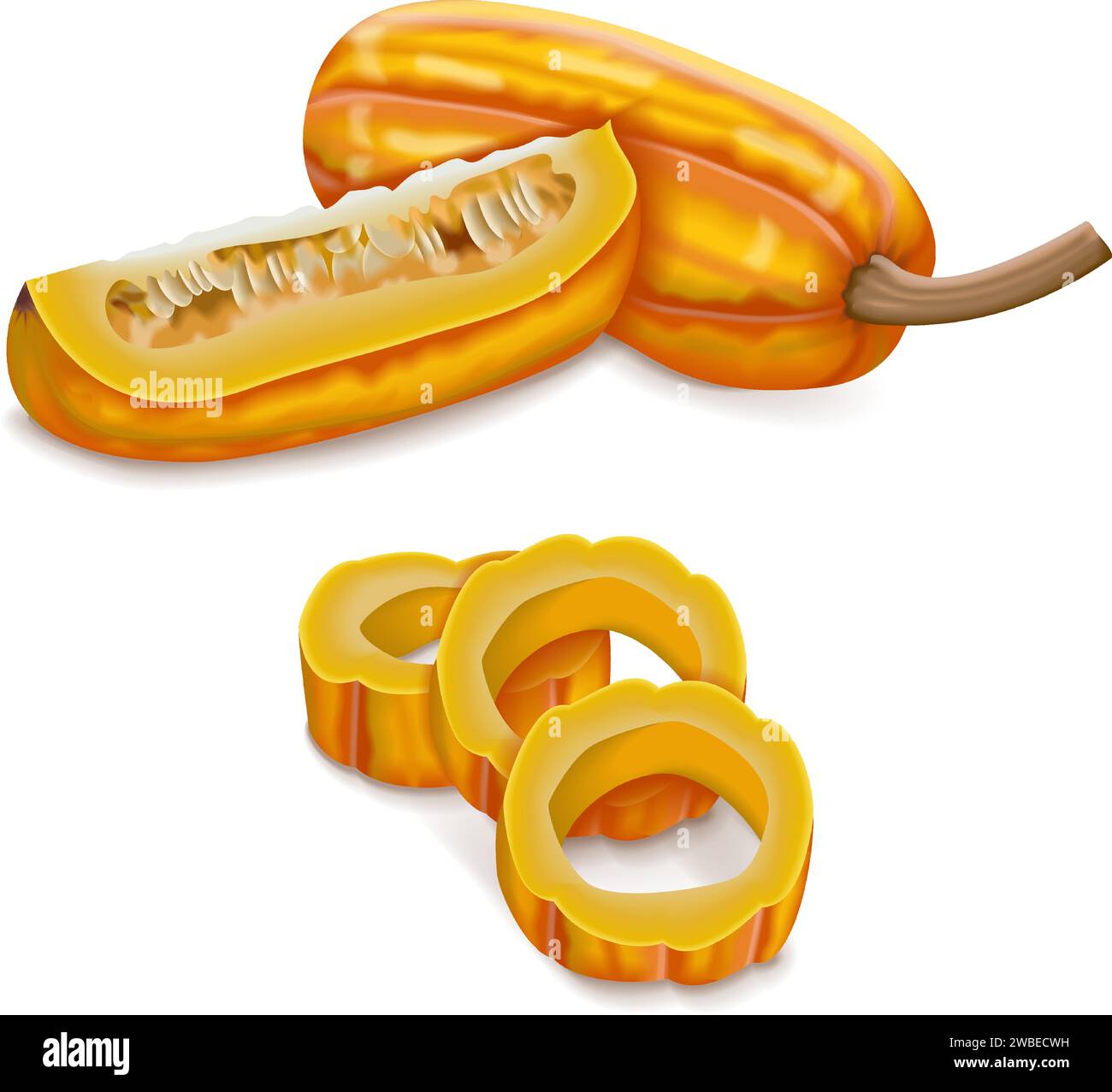 Whole and chopped Delicata squash or Bohemian squash. Winter squash ...