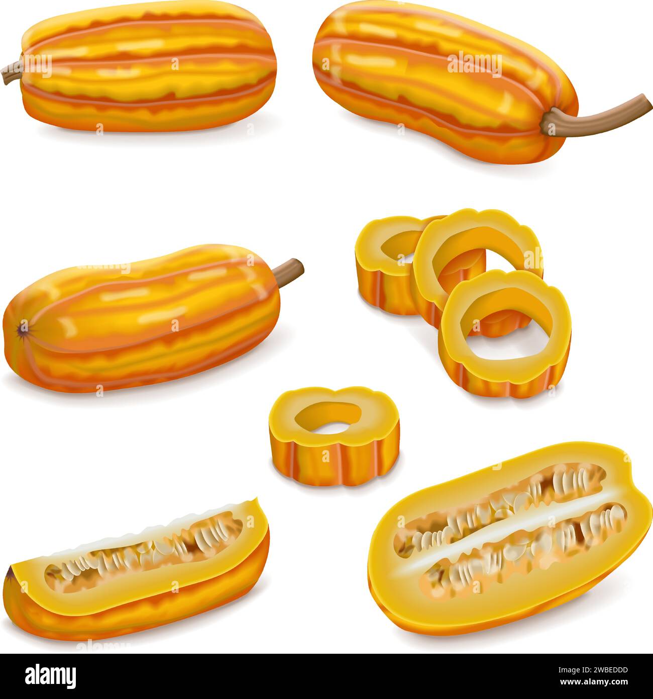 Set of Delicata squash or Bohemian squash. Winter squash. Cucurbita ...