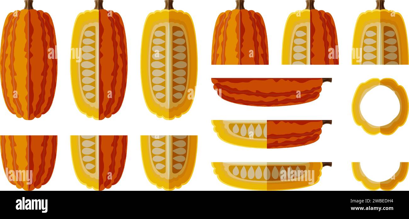 Set of Delicata squash or Bohemian squash. Winter squash. Cucurbita ...