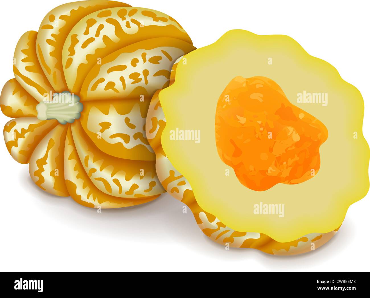 Whole and chopped Carnival winter squash. Cucurbita pepo. Fresh ...