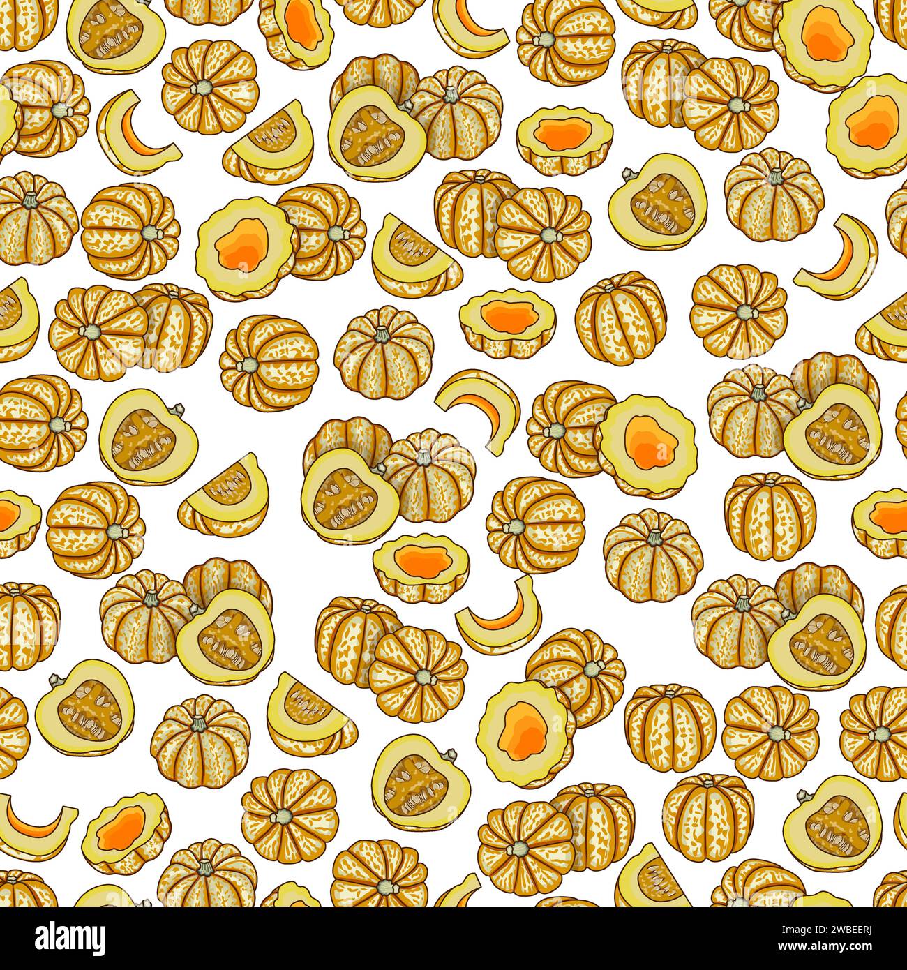 Seamless pattern with Carnival winter squash. Cucurbita pepo. Fruits ...
