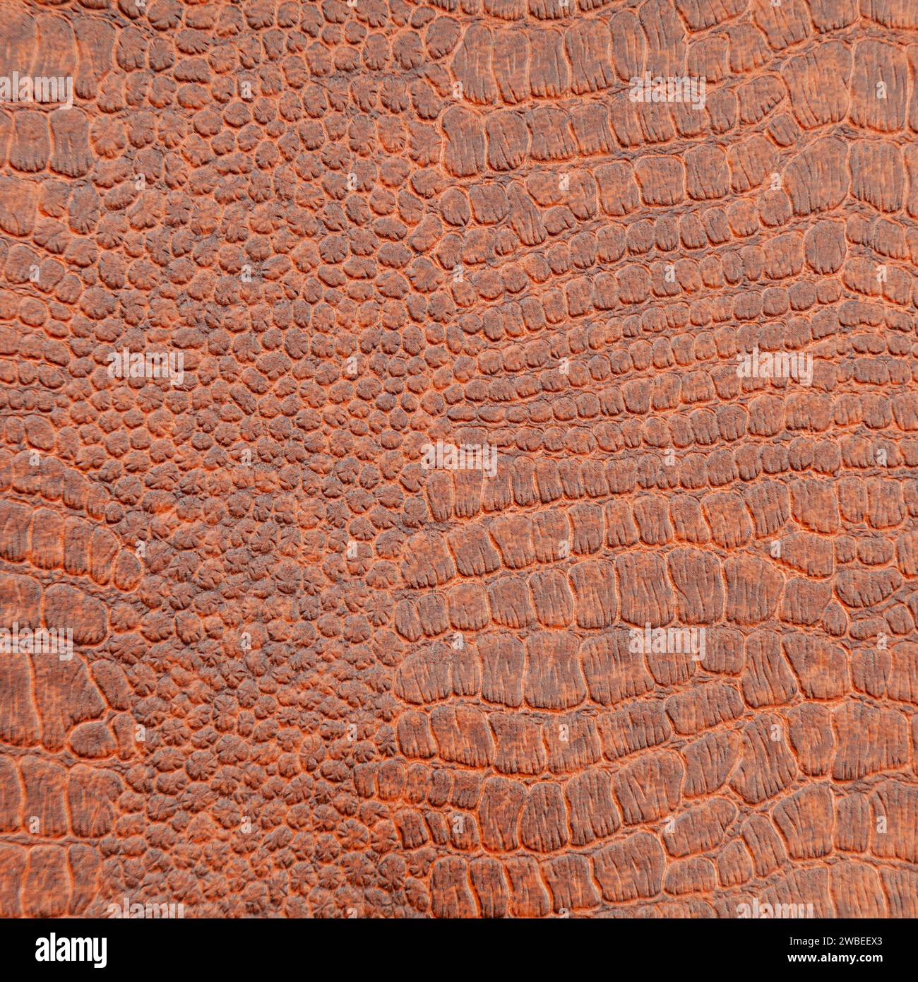 Background image - brown-red crocodile skin texture Stock Photo - Alamy