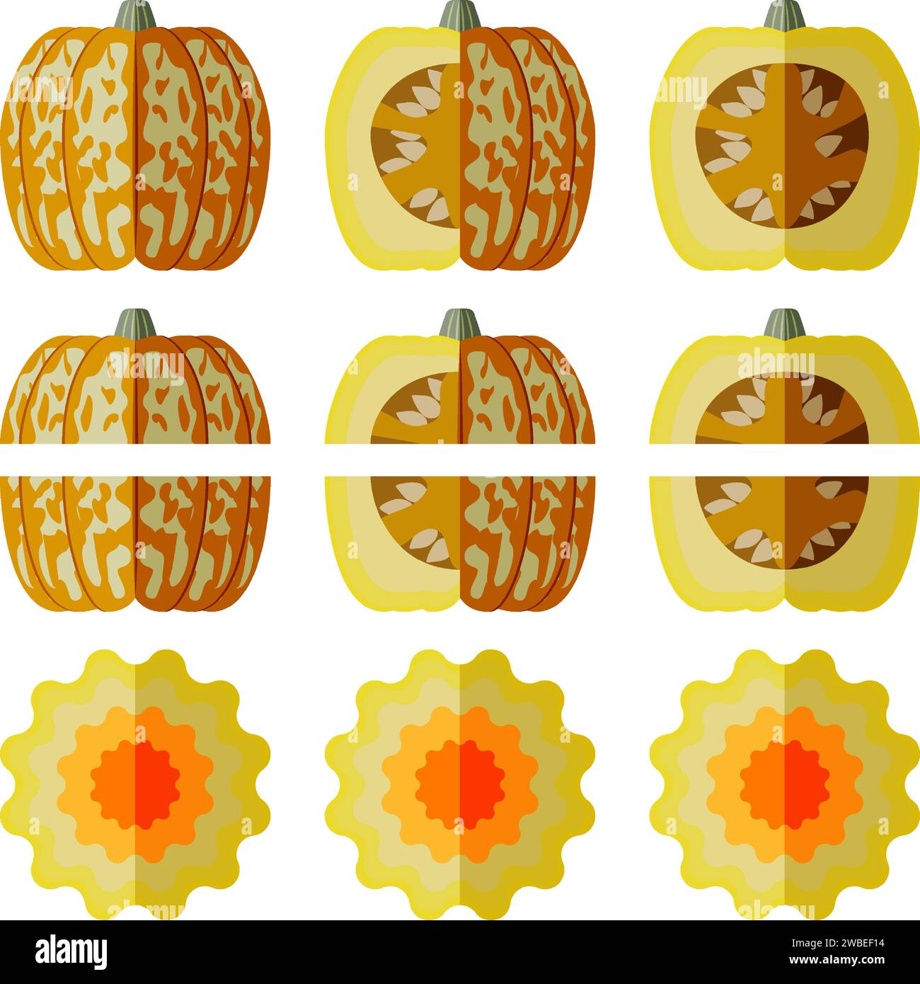 Cucurbita pepo family Stock Vector Images - Alamy
