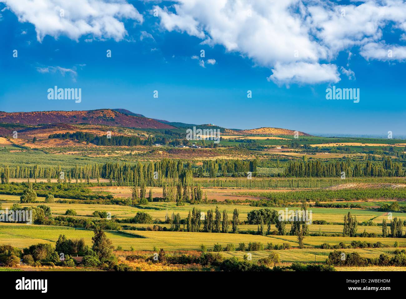 Crop fields and farms at Region del Maule in southern Chile Stock Photo ...