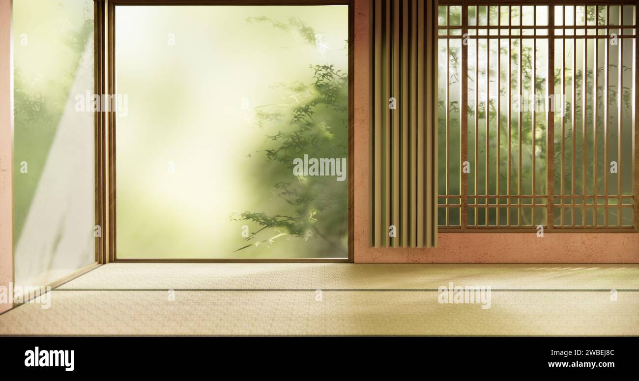 Cleaning interior empty room hi-res stock photography and images - Alamy