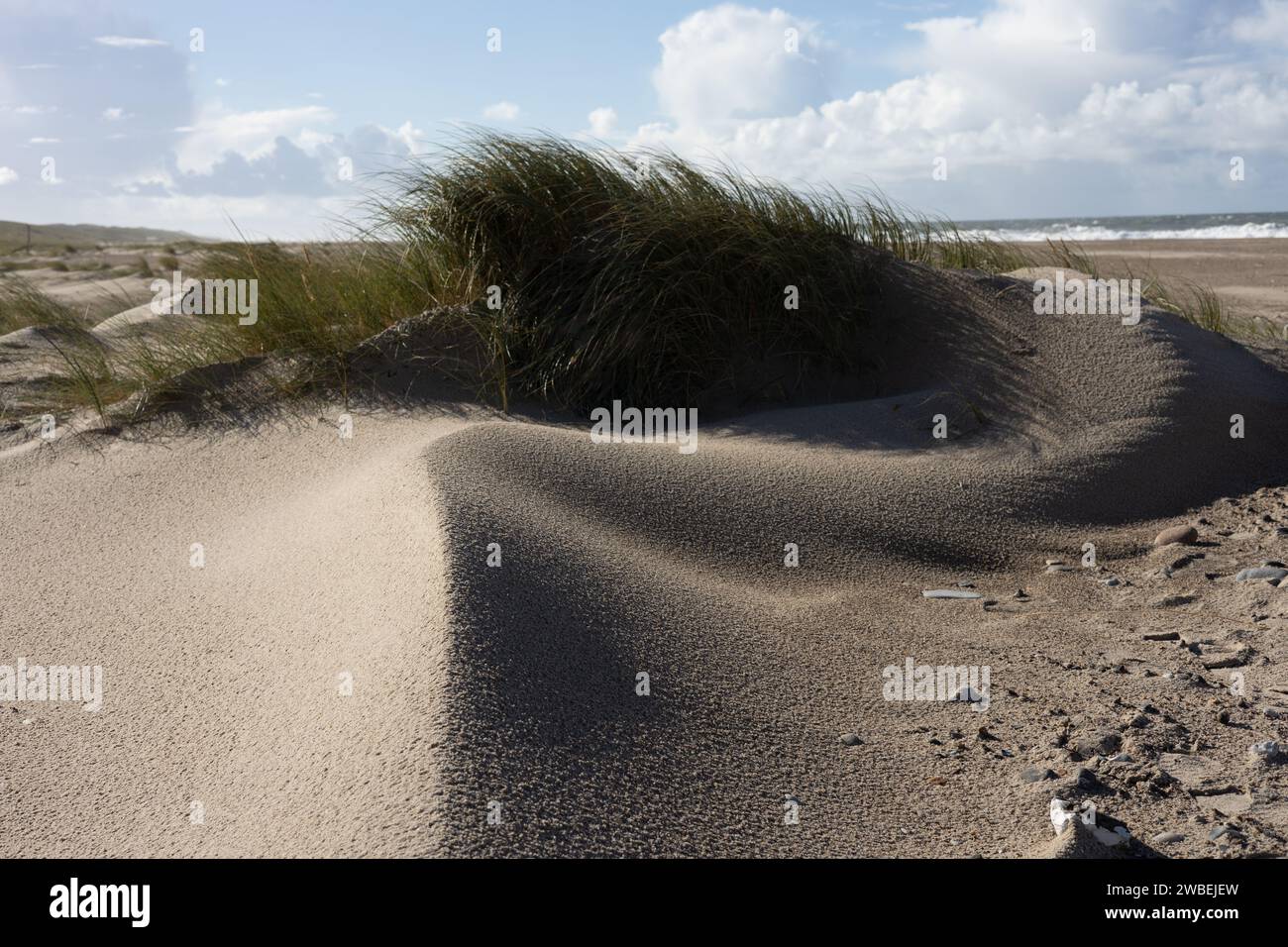 A beautiful sandy dune situated on the edge of the beach, just beyond ...