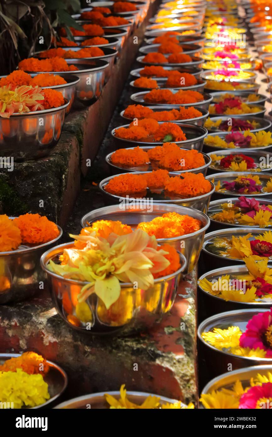 Harmony Blooms: Japan's Marigold Offering at Boudhanath Stock Photo - Alamy