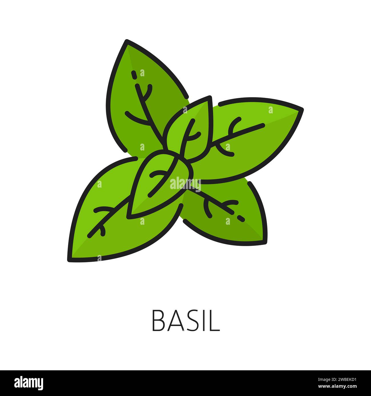 Fresh basil icon outline Stock Vector Images - Alamy