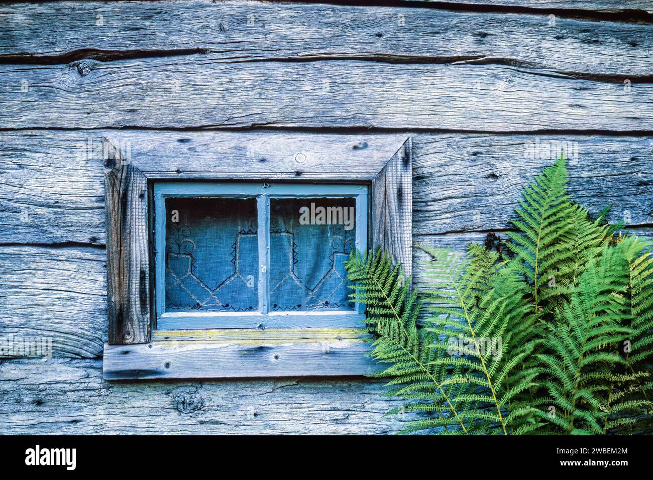 Window of an old croft with green fern leaves Stock Photo - Alamy